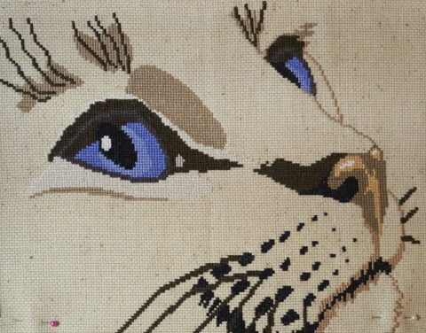 a case of the Crafties - CaLynn's digital art journal